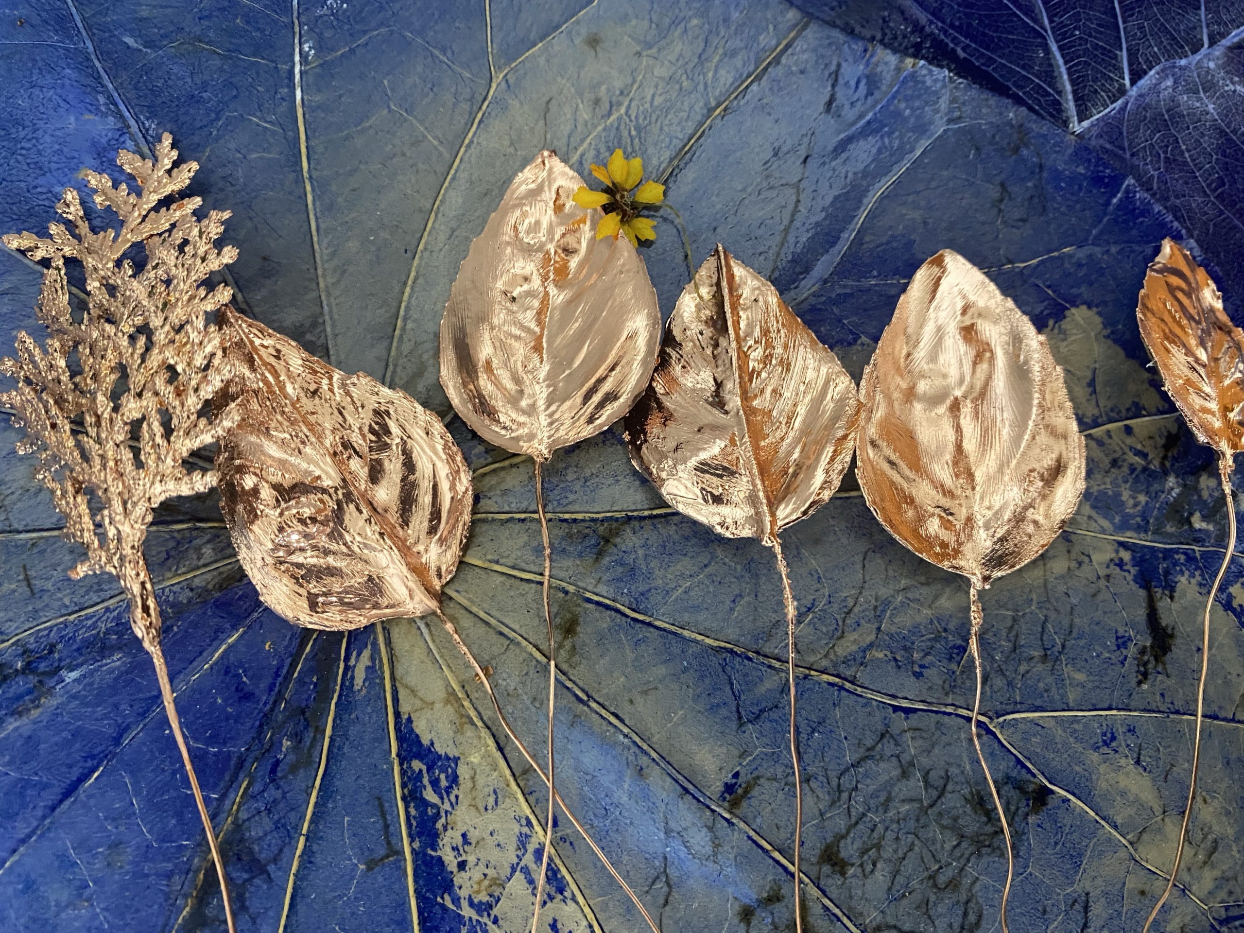Electroforming – botanical leaf art